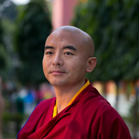 Biography His Eminence Yongey Mingyur Rinpoche - Palpung Dharma Chakra